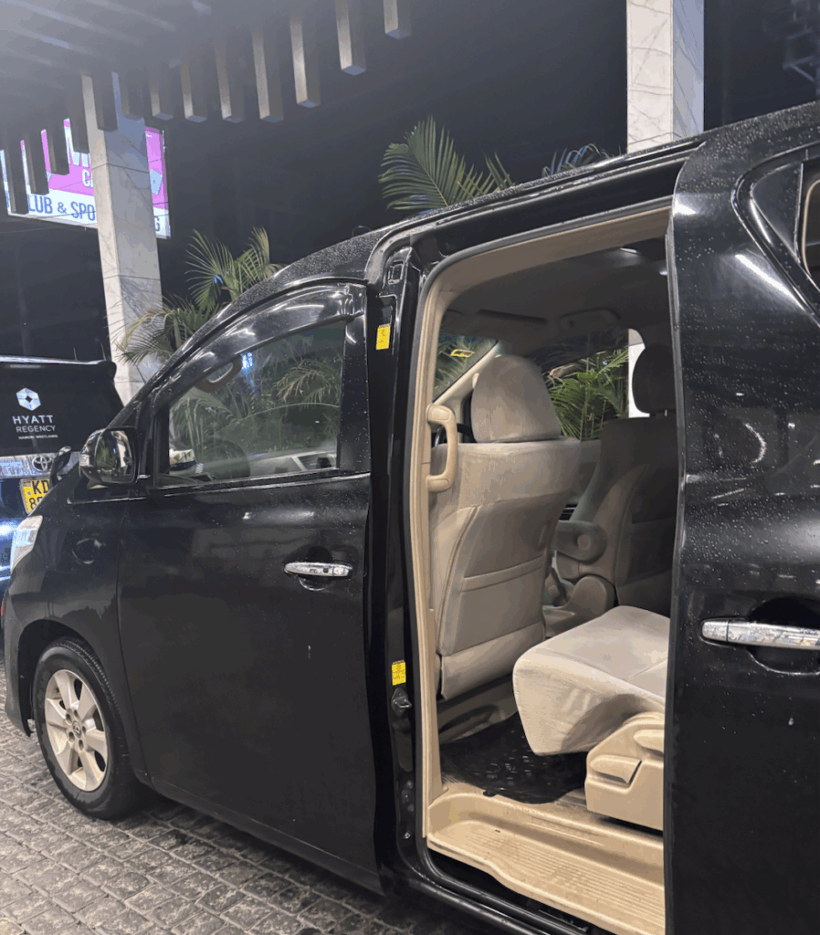 Africa Travel Logistics With Kids: Visas, Transfers, Safety, and What ...